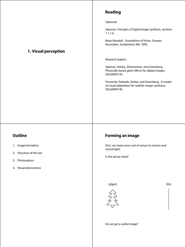 01 Visual Perception | PDF | Retina | Lens (Optics)