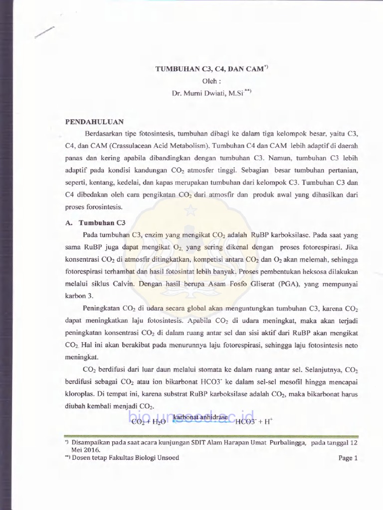Tumbuhan C3, C4 Dan CAM | PDF