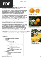 Sweet Orange: History and Cultivation | PDF