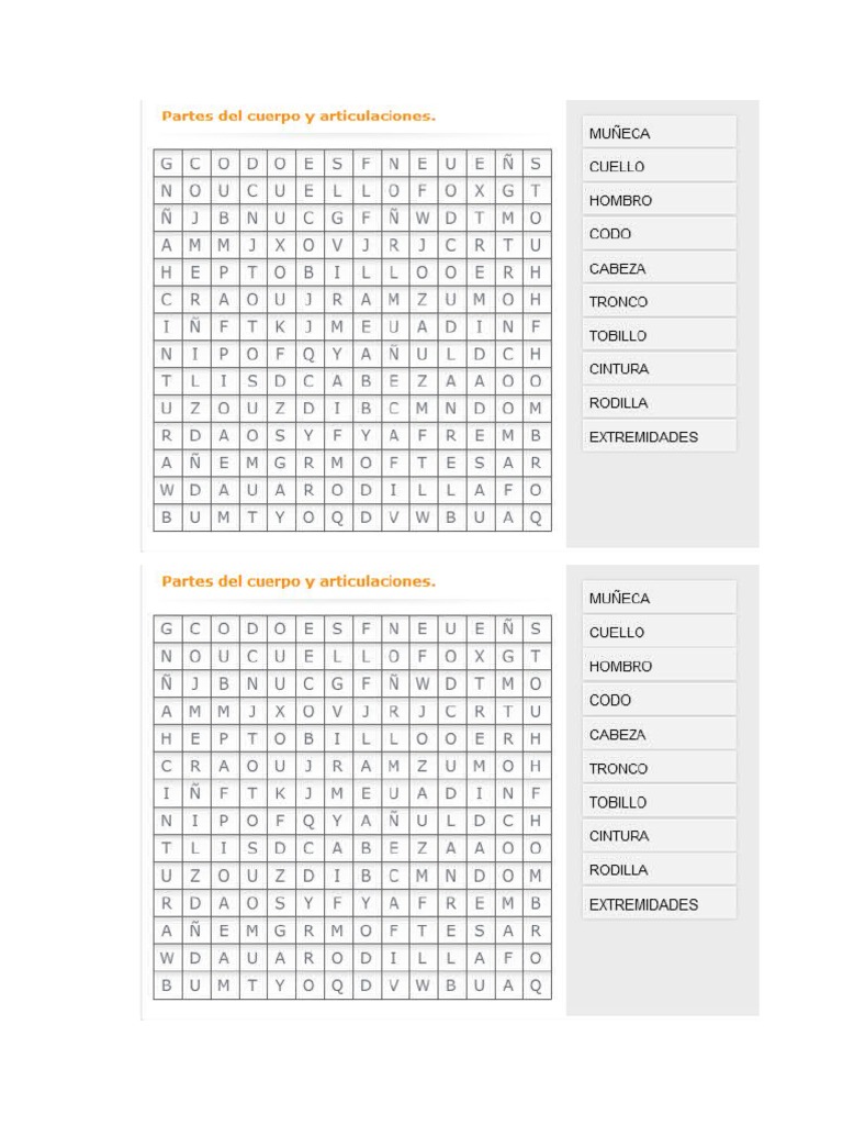 Sopa de Letras Cuerpo Humano Segundo | PDF