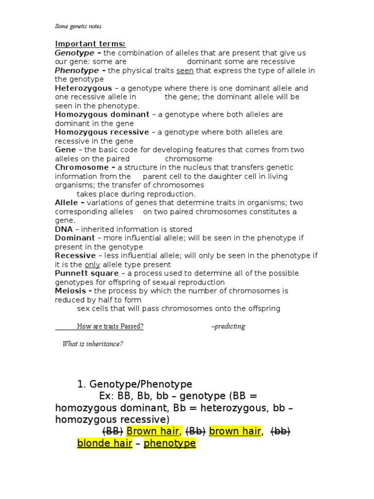 Genetic Notes 1 | PDF | Dominance (Genetics) | Allele