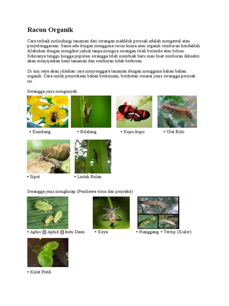 Racun Organik | PDF