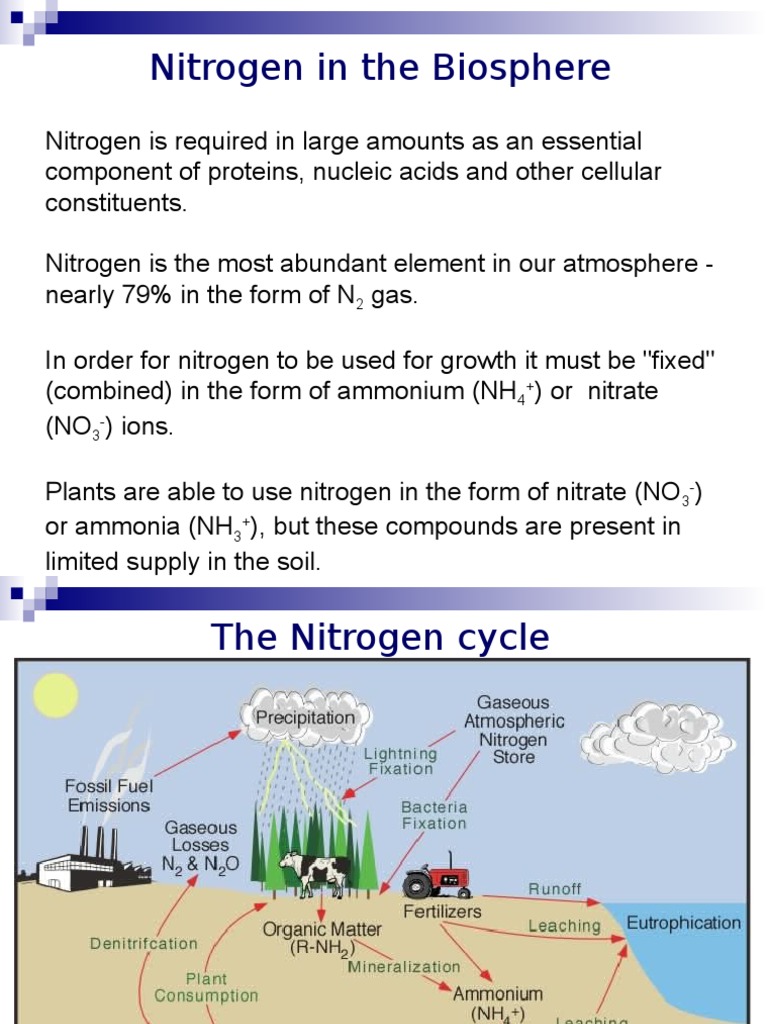 Nitrogen in The Biosphere | Download Free PDF | Nitrogen | Ammonium