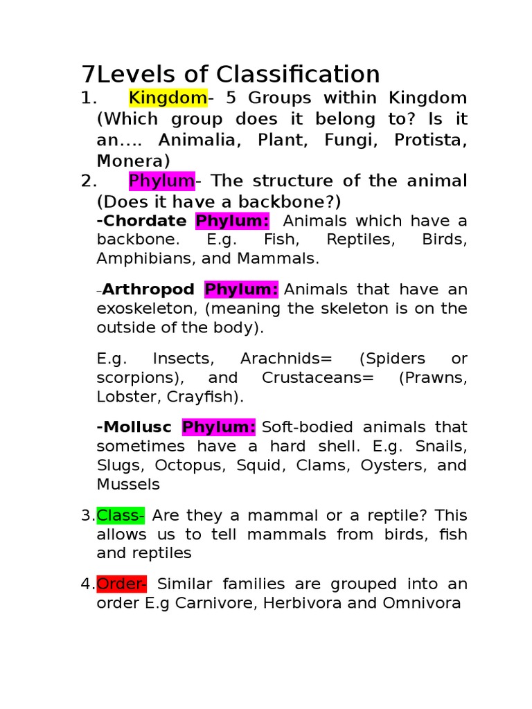 7 Levels of Classification Info Sheet For 7a | PDF
