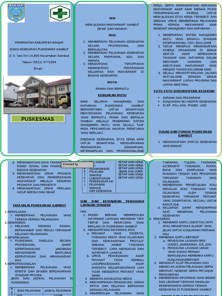 Pelayanan Kesehatan Puskesmas Gambut | PDF | Kesehatan Holistik