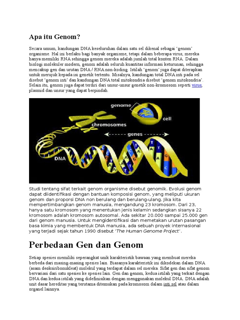 Dasar Genom dan Gen dalam Biologi | PDF | Kesehatan Holistik | Sains ...