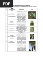 Philippine Trees 101: Trees With Description PDF | PDF | Plants | Trees