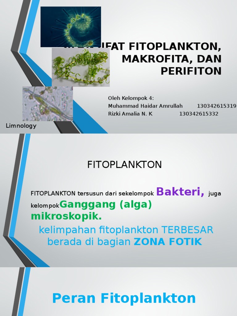 Sifat-Sifat Fitoplankton, Makrofita, Dan Perifiton | PDF | Sains ...