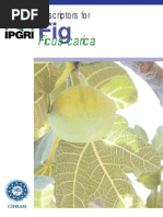 Weed Identification Guide | PDF | Clover | Leaf