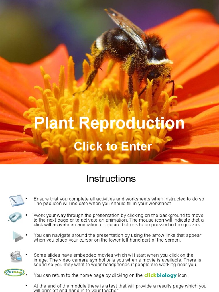 Plant Reproduction: Key Processes Explained | PDF | Pollination | Flowers