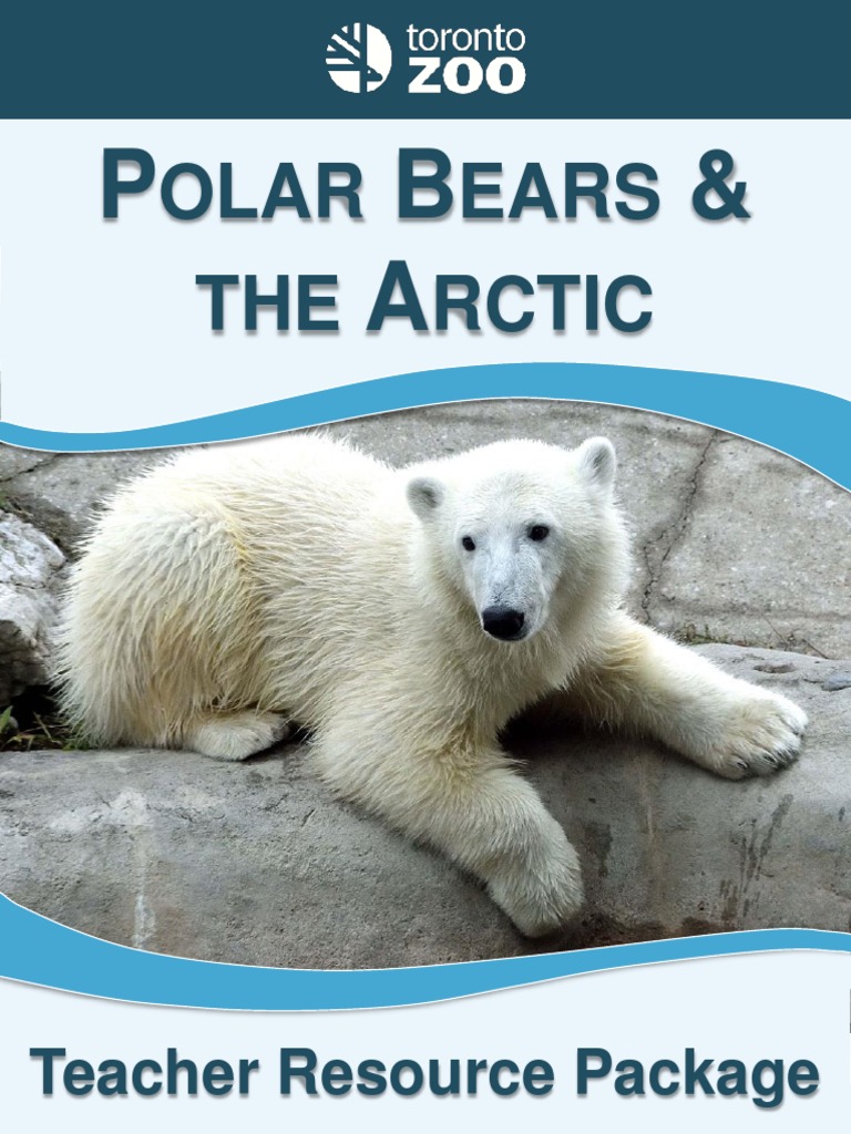 Teacher Resource Package - Polar Bears and The Arctic | PDF | Polar ...