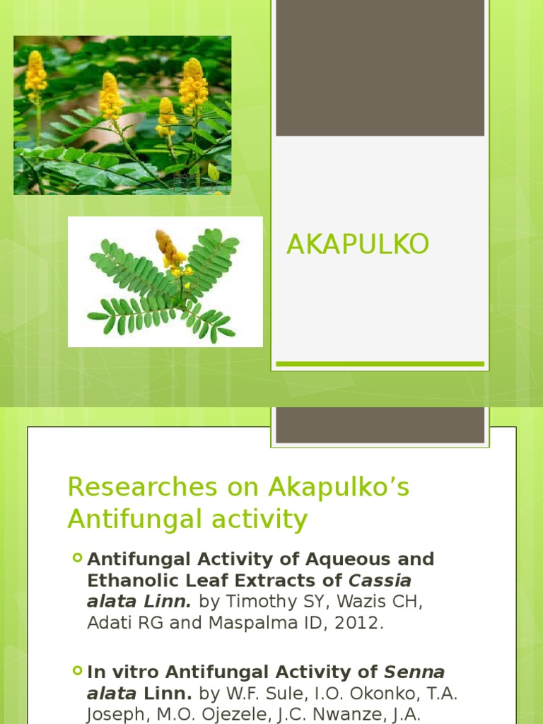 AKAPULKO Presentation | PDF | Antibiotics | Aspergillus