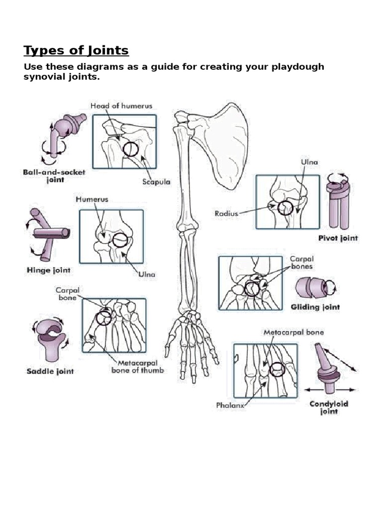Joint Types | PDF