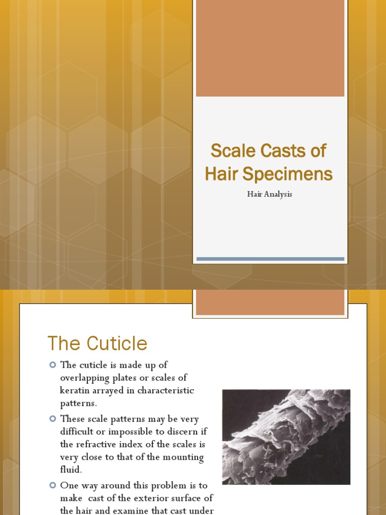 Hair Scale Patterns Lab Guide | PDF | Home & Garden