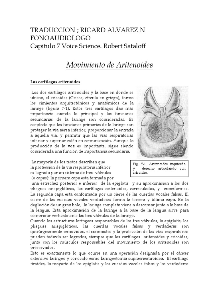 Movimiento de Aritenoides | PDF | Vocal | Laringe