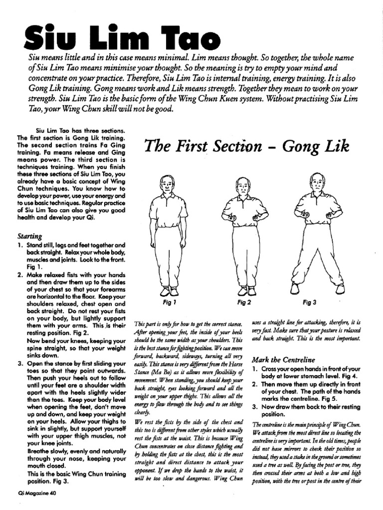 The Foundations of Wing Chun Kuen: An Instructional Document on Siu Lim ...