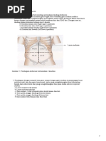 4 Kuadran Dan 9 Regio Pada Abdomen | PDF