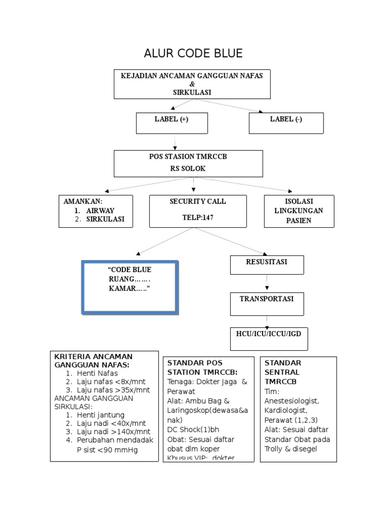 Alur Code Blue | PDF