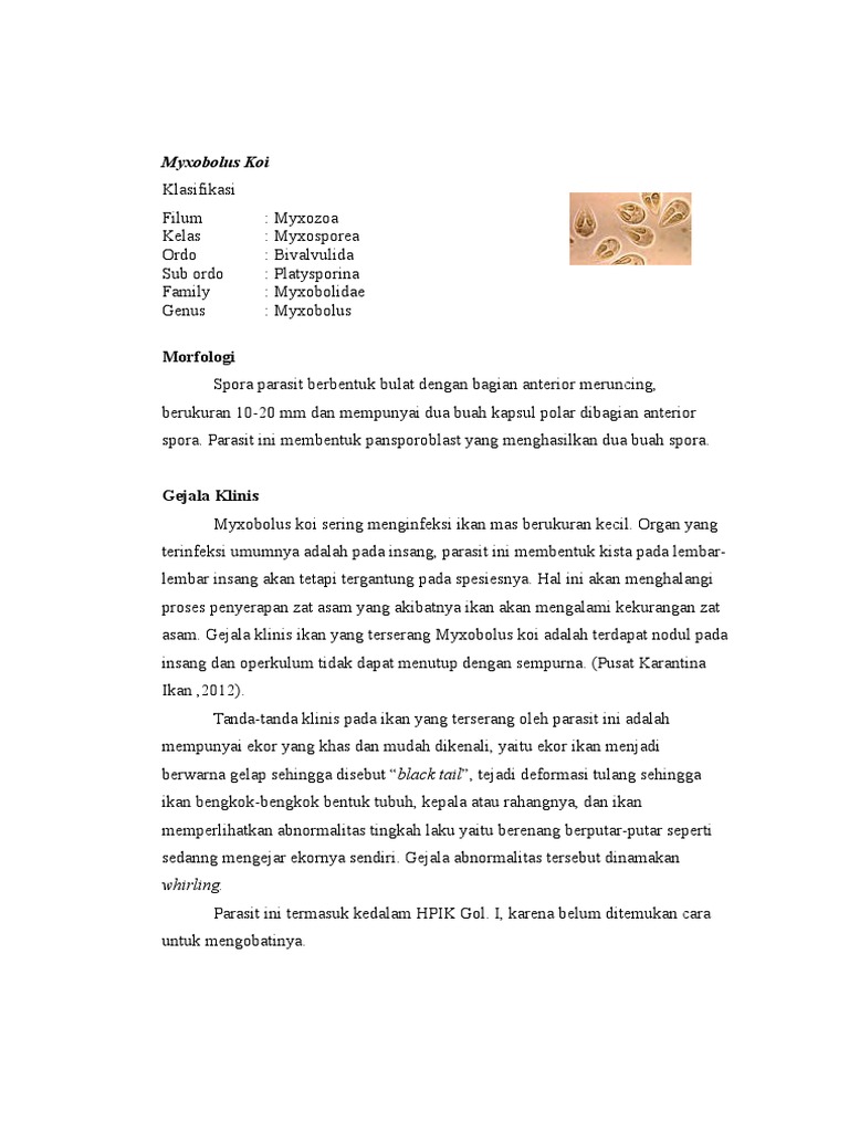 Myxobolus Koi Dan Myxosoma | PDF