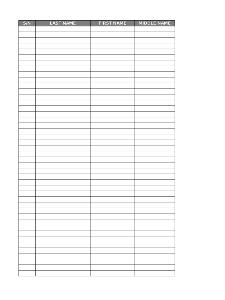 Data Entry Template | PDF