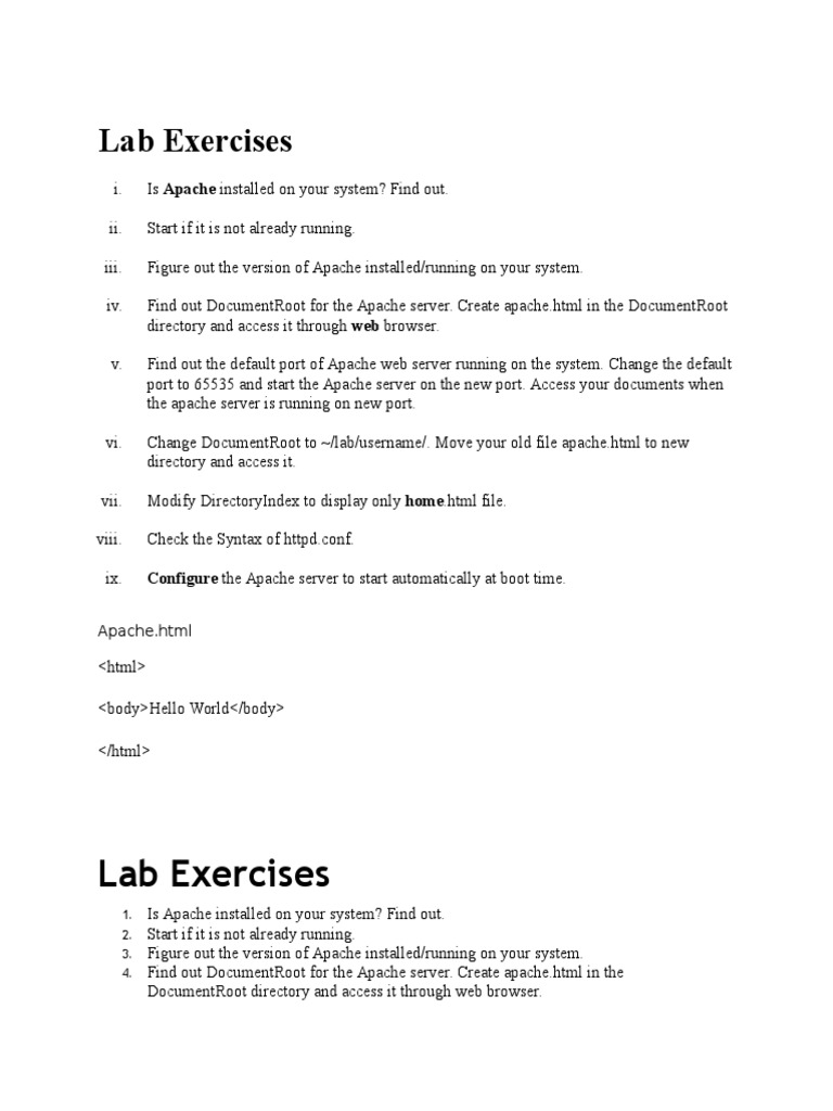 Lab Exercises | PDF | Web Server | Internet & Web
