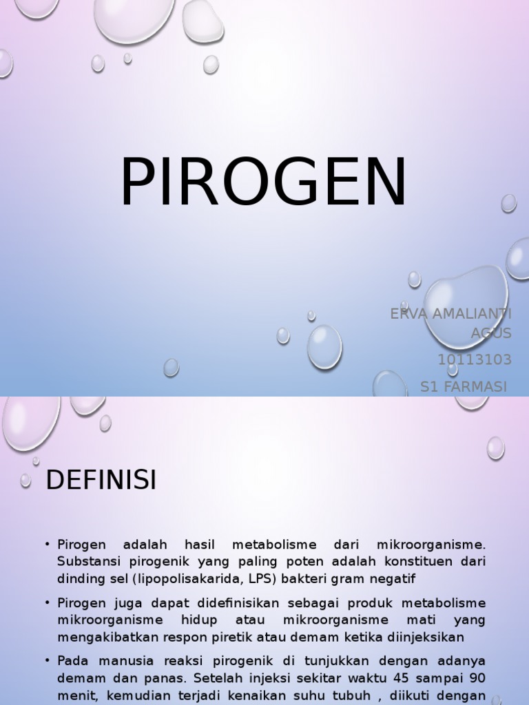 Pirogen Erva | PDF