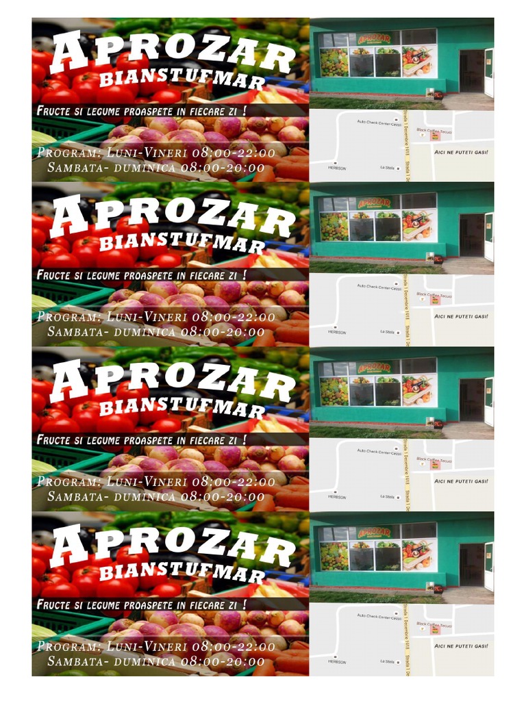 Aprozar Model Flyer | PDF