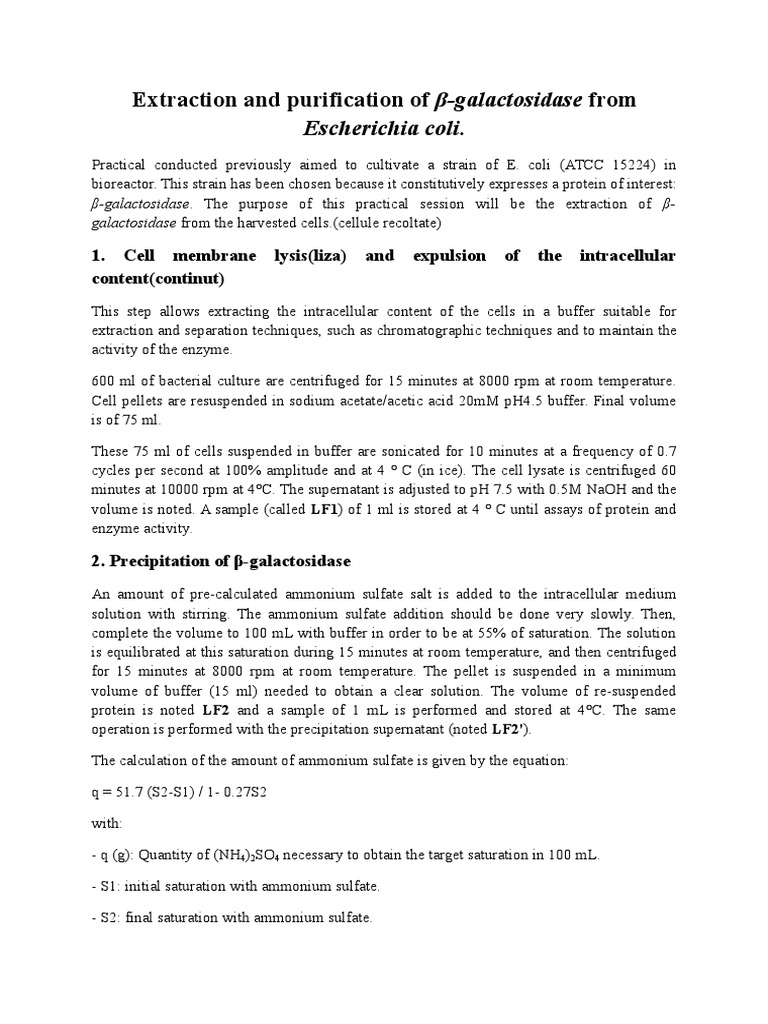 Extraction and Purification TP v2 | PDF | Enzyme Assay | Molecular Biology