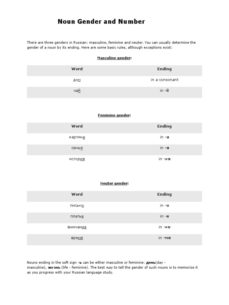 Noun Gender and Number | PDF