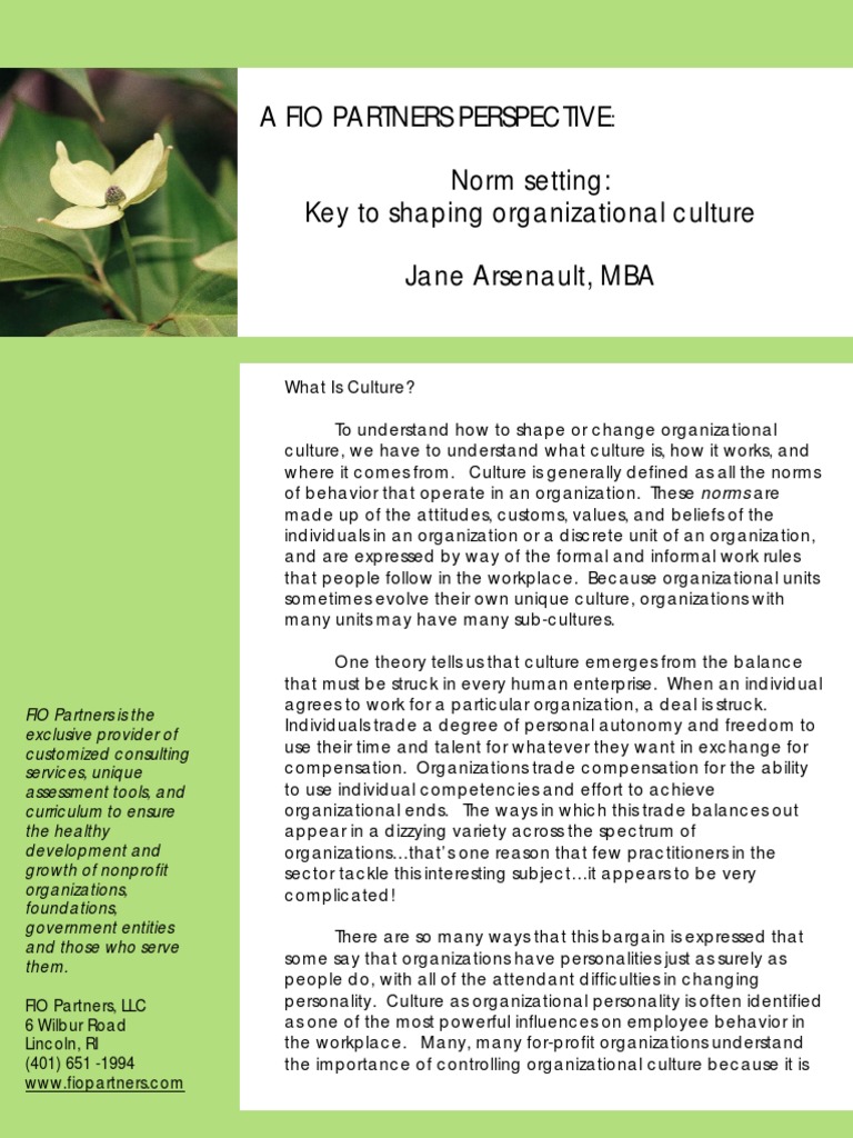 A Fio Partners Perspective: Norm Setting: Key To Shaping Organizational ...