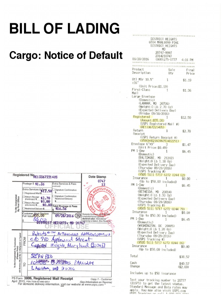 Notice of Default (Official)