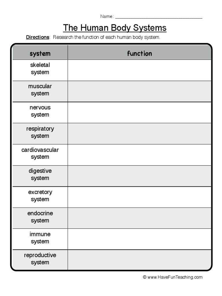 Annex 3 Body Systems | PDF