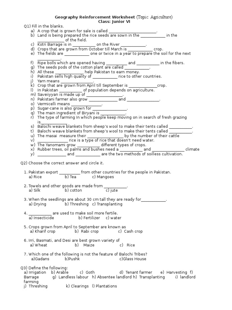 Geo Agriculture | PDF | Rice | Agriculture