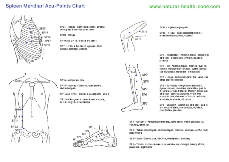 Spleen Meridian Acupressure Points | PDF