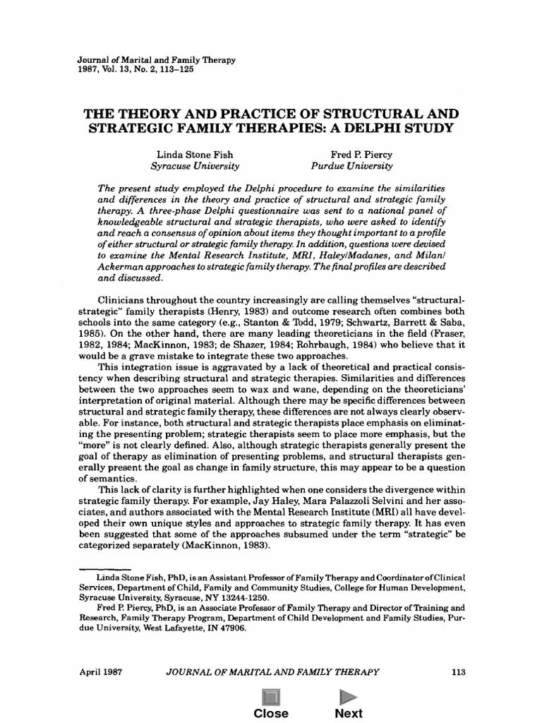 The Theory and Practice of Structural and Strategic Family Therapies ...