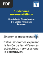 Síndromes Alternos del Tallo Cerebral | PDF | Sistema nervioso central ...