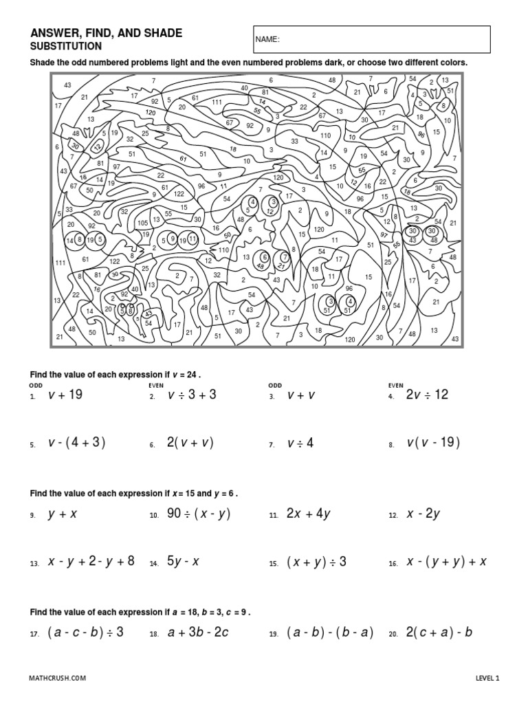Substitution Answer Find and Shade | PDF | Teaching Mathematics