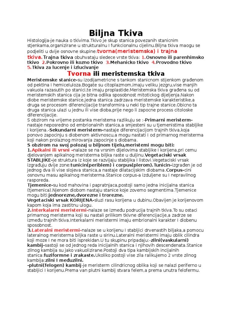 Biljna I Zivotinjska Tkiva Biologija 2 Parcijala | PDF