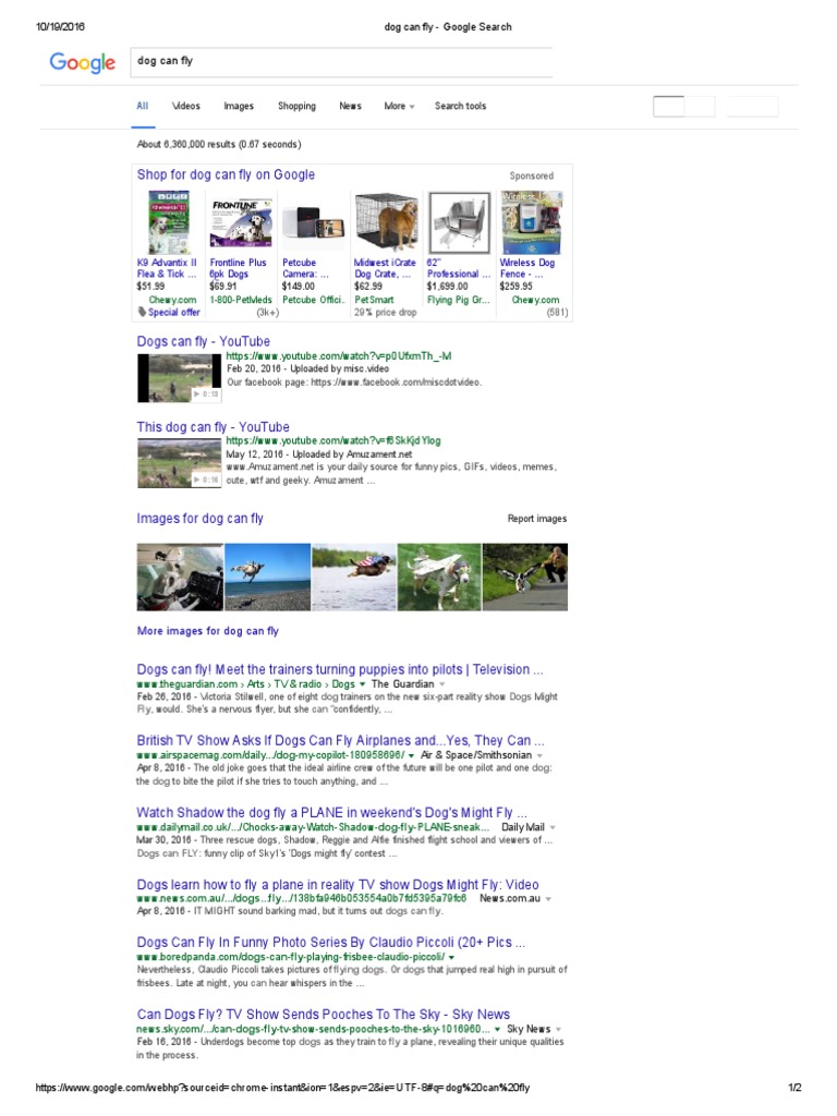 Dog Can Fly: About 6,360,000 Results (0.67 Seconds) | PDF