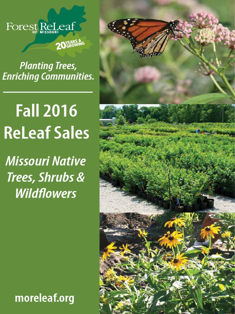 Forest ReLeaf 2016 ReLeaf Sales Catalog | PDF | Oak | Trees