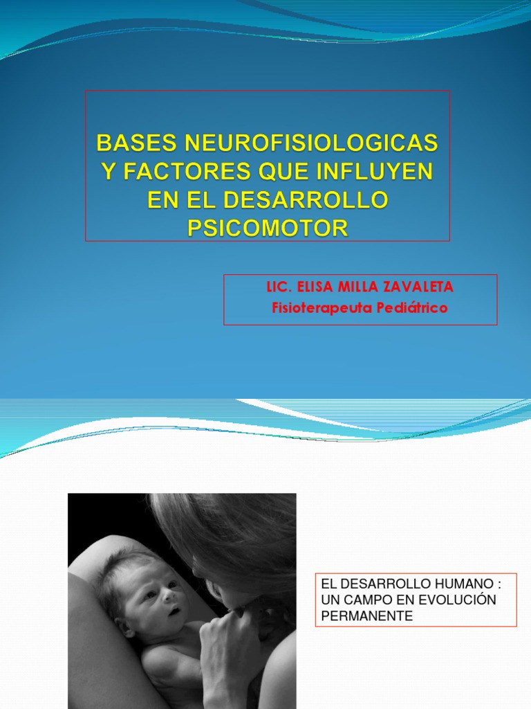 Bases Neurofisiologicas y Factores Que Influyen en El Desarrollo Psicomotor | PDF | Adultos ...