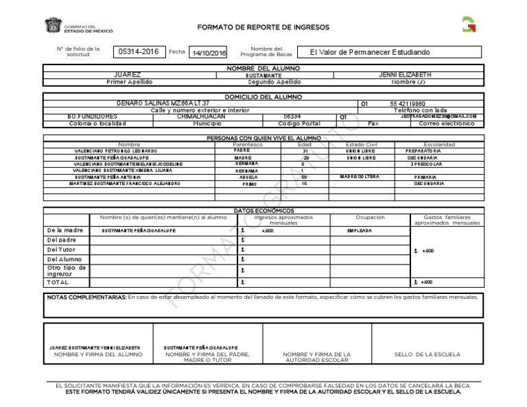 Formato de Reporte de Ingresos | PDF