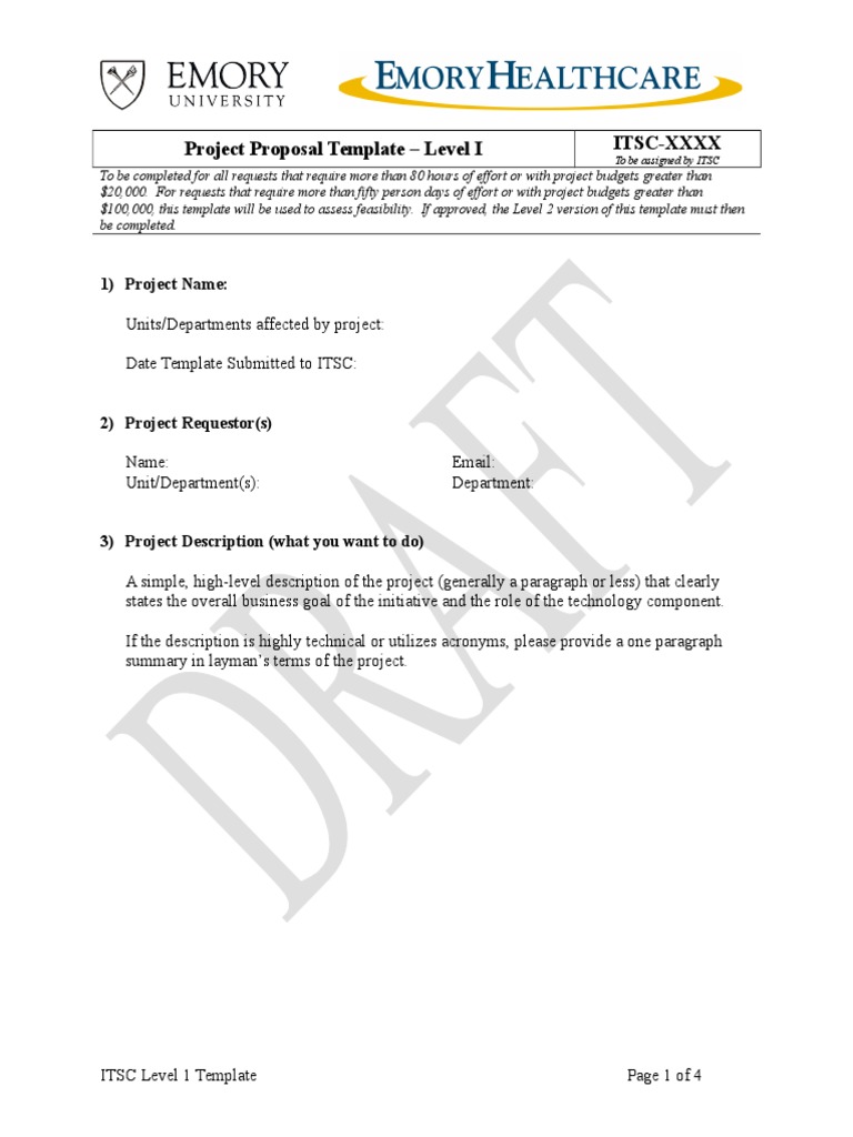 Emory Level 1 Template | PDF | Application Software | Software