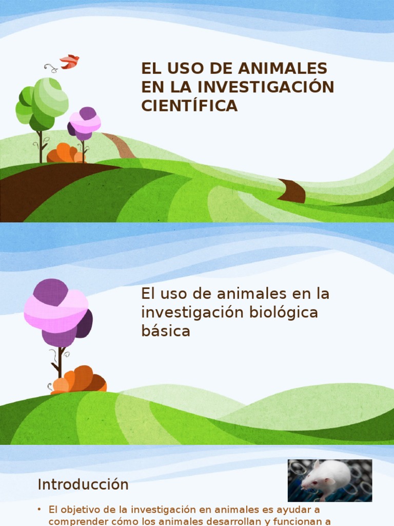 Uso de Animales en La Investigacion Cientifica.... | Virus | Sistema inmune