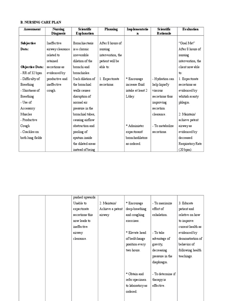 Nursing Care Plan | PDF | Breathing | Respiratory Tract