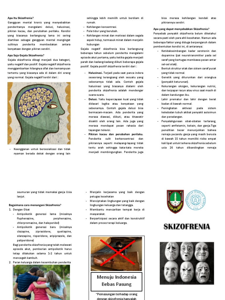 Leaflet Skizofrenia | PDF