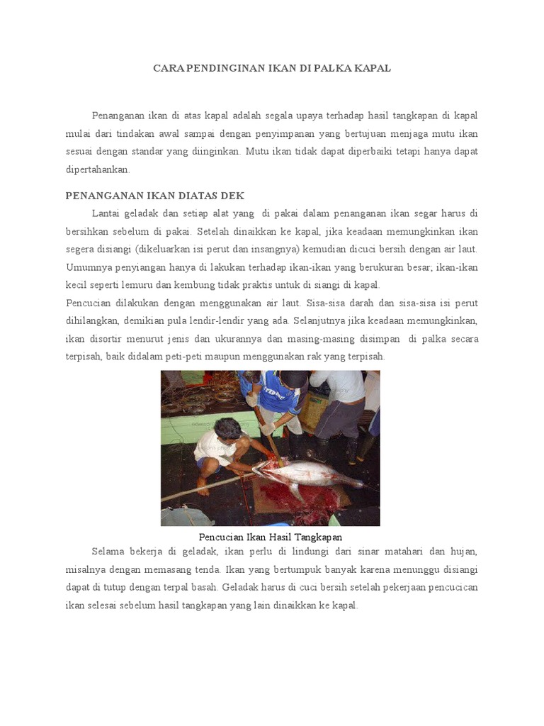 Cara Pendinginan Ikan Di Palka Kapal | PDF