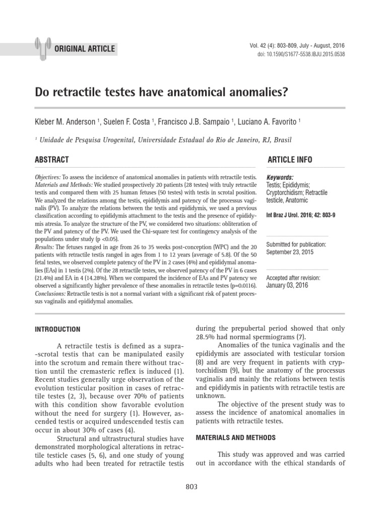 Retractile Testis | PDF | Testicle | Anatomy