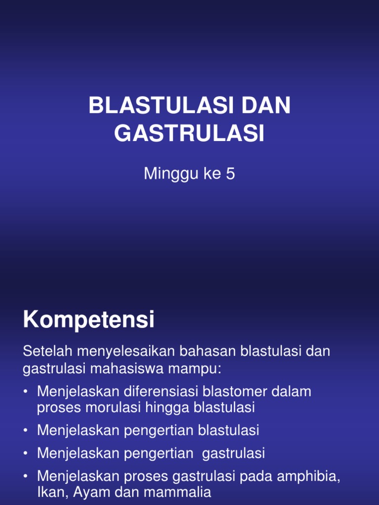 Proses Blastulasi & Gastrulasi | PDF