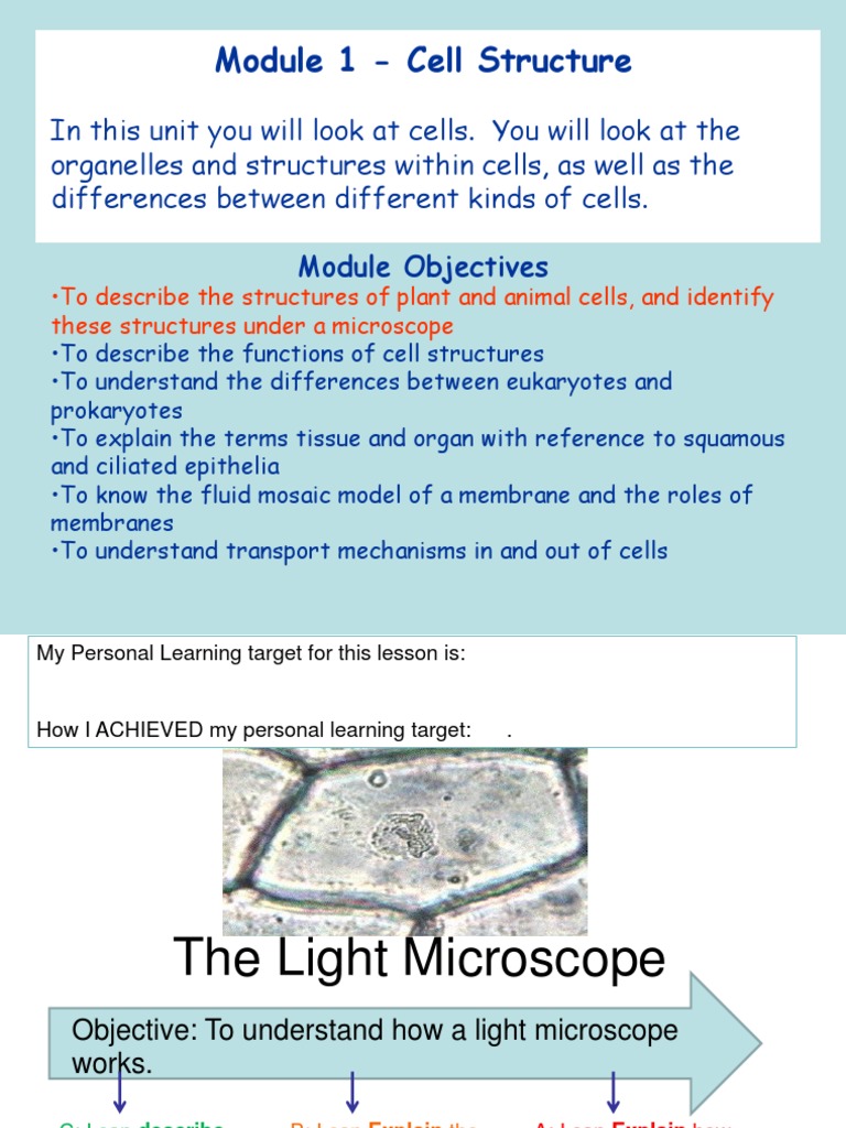 1 The Light Microscope | PDF | Angular Resolution | Cell (Biology)
